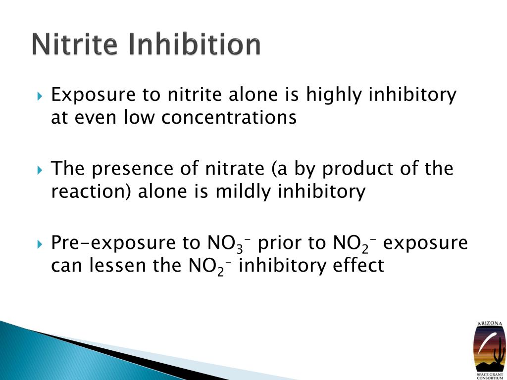 PPT - Nitrogen Removal in Anaerobic Ammonium Oxidation Bioreactors ...