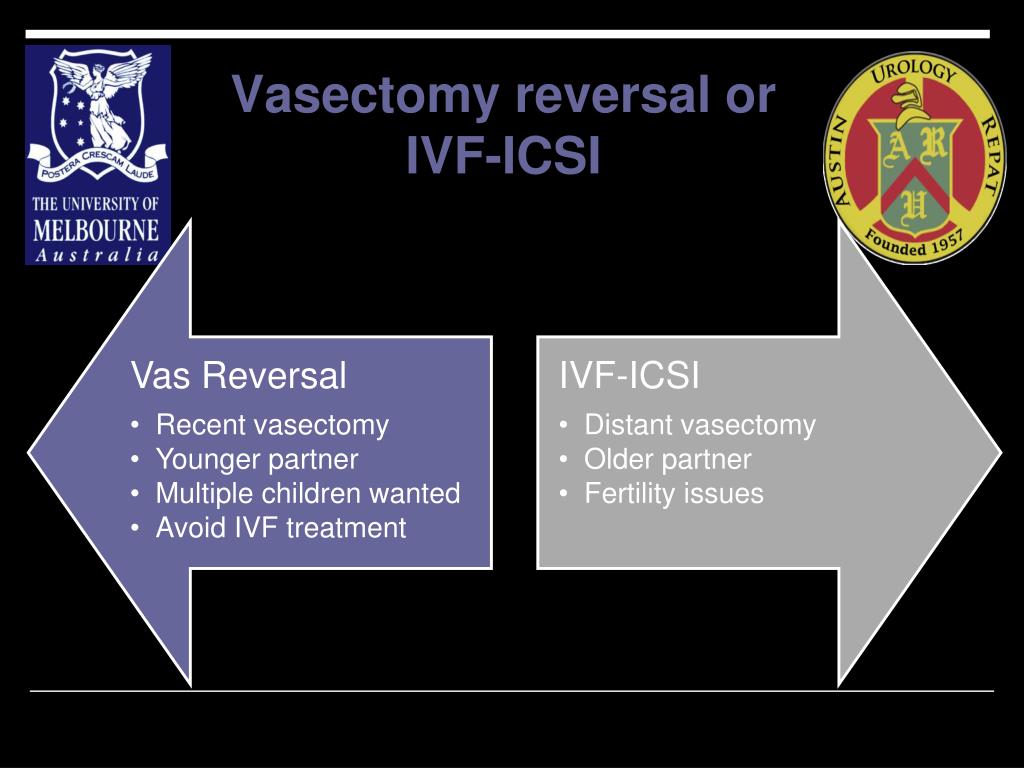 Vasectomy Reversal Procedure Recovery And Risks