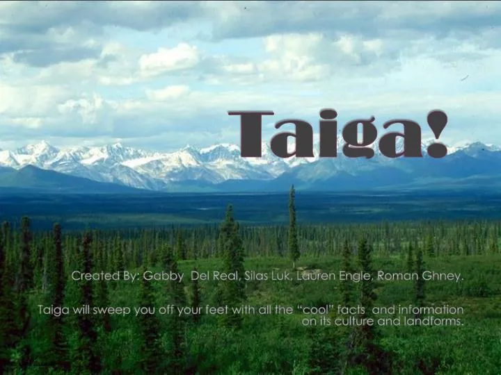 PPT - Taiga! PowerPoint Presentation, free download - ID:3065585