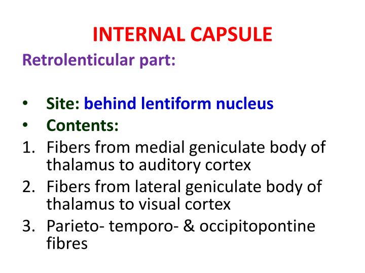 PPT - INTERNAL CAPSULE PowerPoint Presentation - ID:3065666