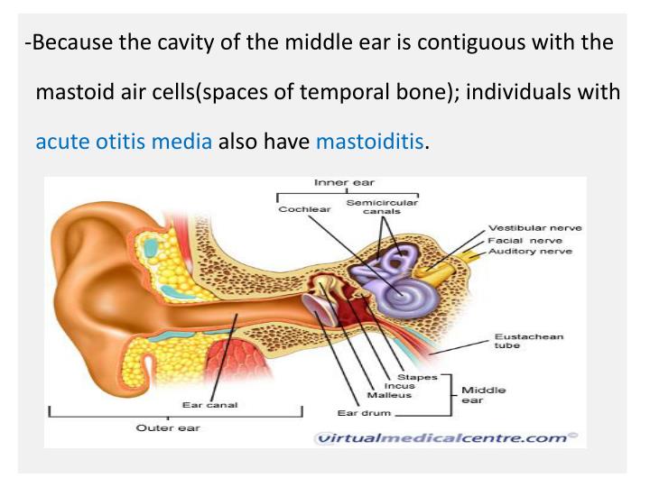 PPT - Otitis media, Otitis externa , and Eye diseases: PowerPoint ...