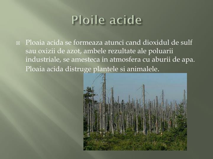 PPT - POLUAREA AERULUI, APEI SI SOLULUI PowerPoint Presentation - ID ...
