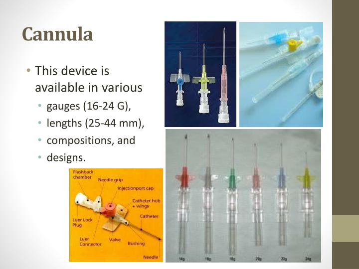 PPT - Intravenous cannulation PowerPoint Presentation - ID:3066014