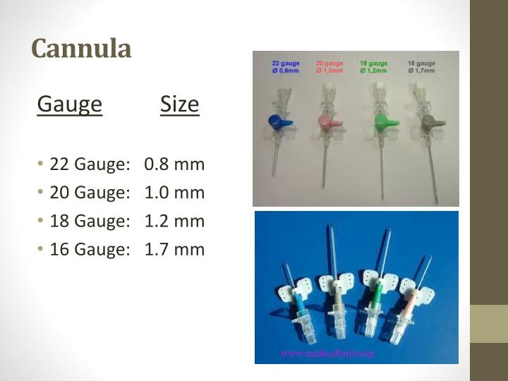 PPT - Intravenous cannulation PowerPoint Presentation - ID:3066014
