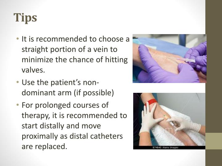 PPT - Intravenous cannulation PowerPoint Presentation - ID:3066014
