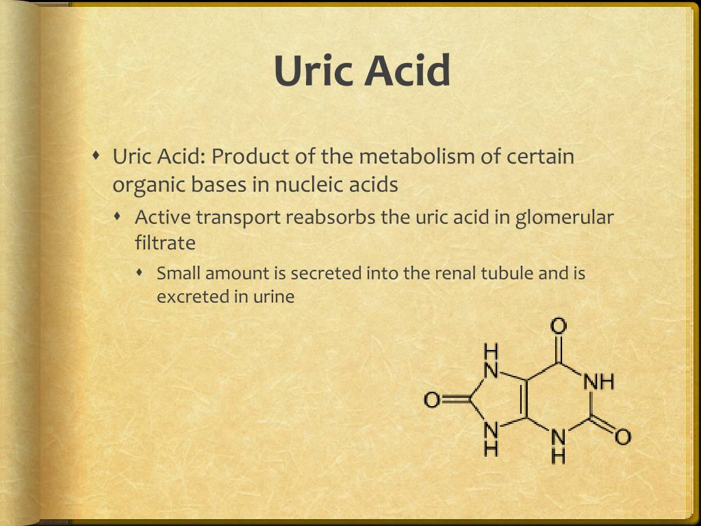 PPT - Urea and Uric Acid Excretion/ Urine Composition PowerPoint ...