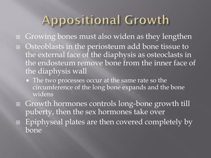 PPT - Bone formation, growth, and remodeling PowerPoint Presentation ...