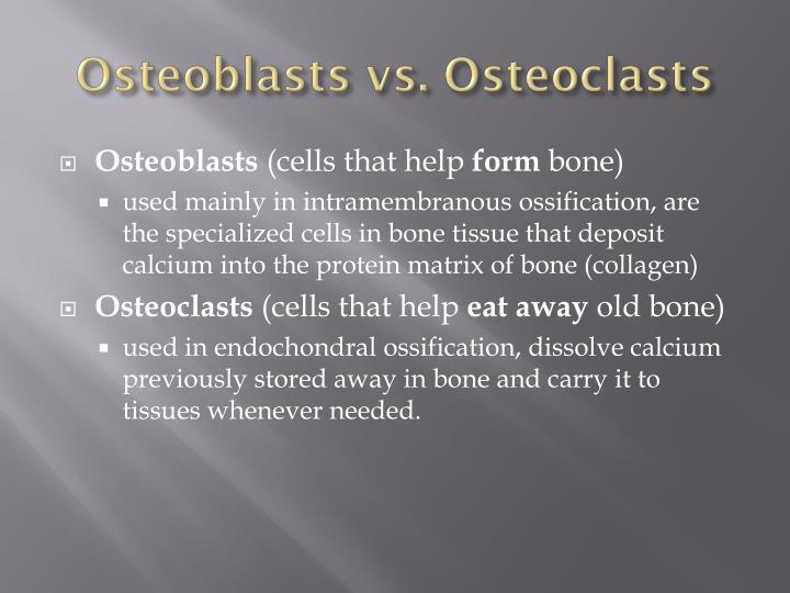PPT - Bone formation, growth, and remodeling PowerPoint Presentation ...