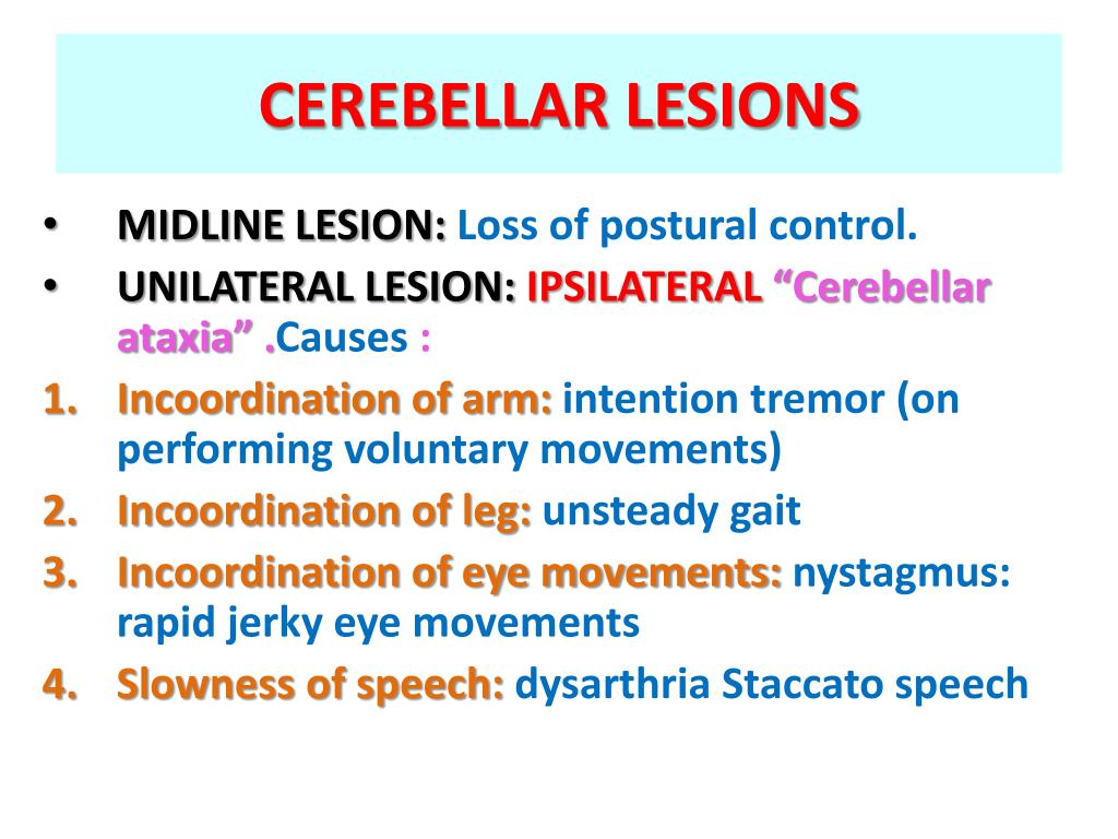 PPT - Cerebellum 1 PowerPoint Presentation, free download - ID:3066230 PPT - Cerebellum 1 PowerPoint Presentation, free download - ID:3066230