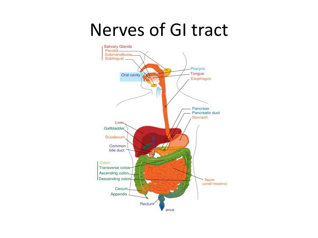 PPT - Nursing Care of Patients with Alterations in the GI tract ...