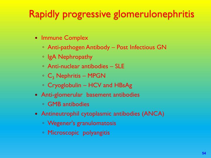 PPT - Acute Glomerulonephritis PowerPoint Presentation - ID:3066382
