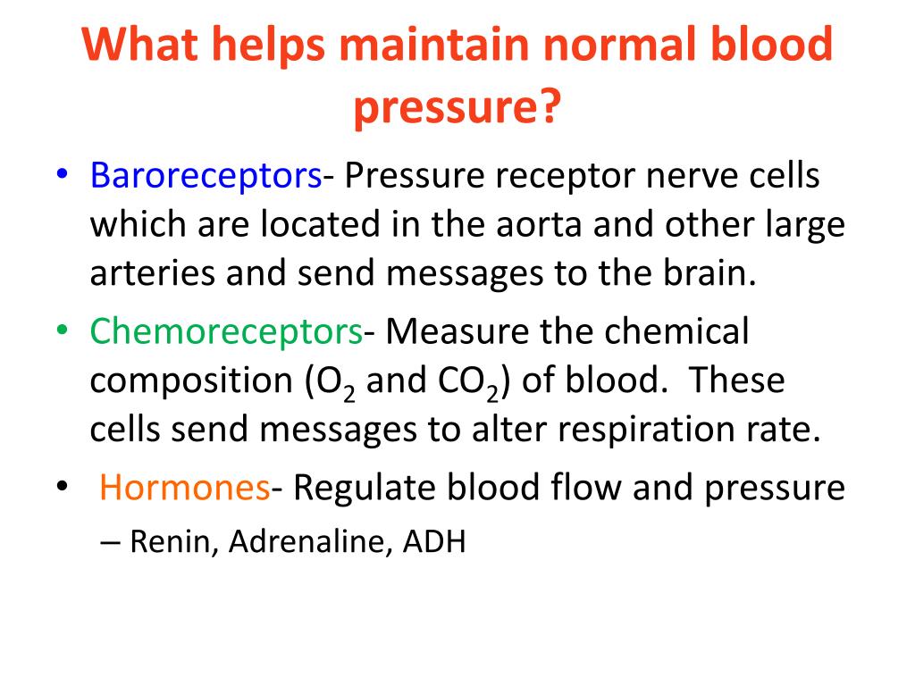 PPT - BLOOD VESSEL STRUCTURE, BLOOD PRESSURE AND SYSTEMIC VESSELS ...