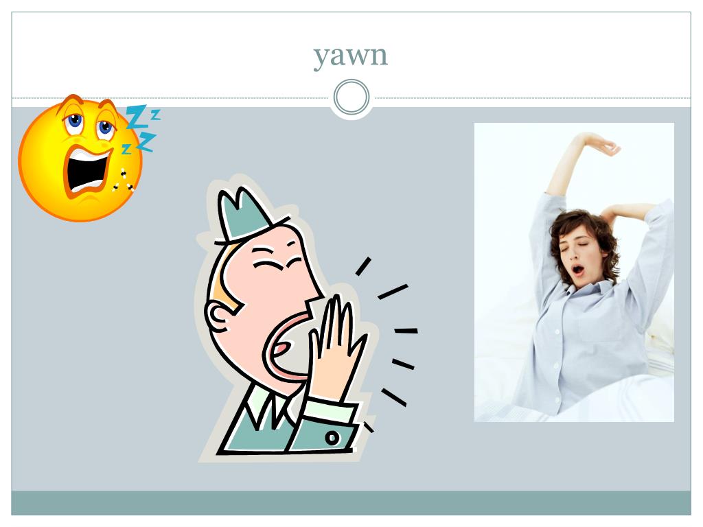 PPT - Head, Body, Legs: A Story from Liberia PowerPoint Presentation ...
