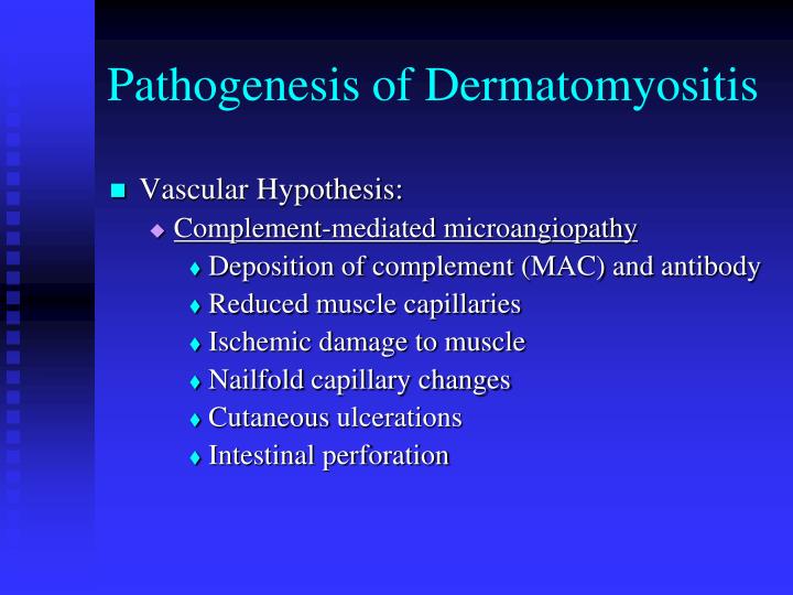 PPT - Dermatomyositis: Muscle Histology PowerPoint Presentation - ID ...