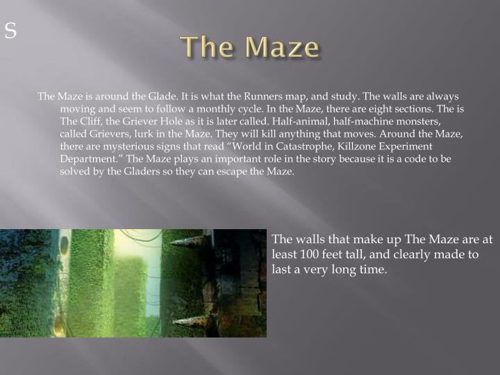 PPT - The Maze Runner PowerPoint Presentation - ID:3066521