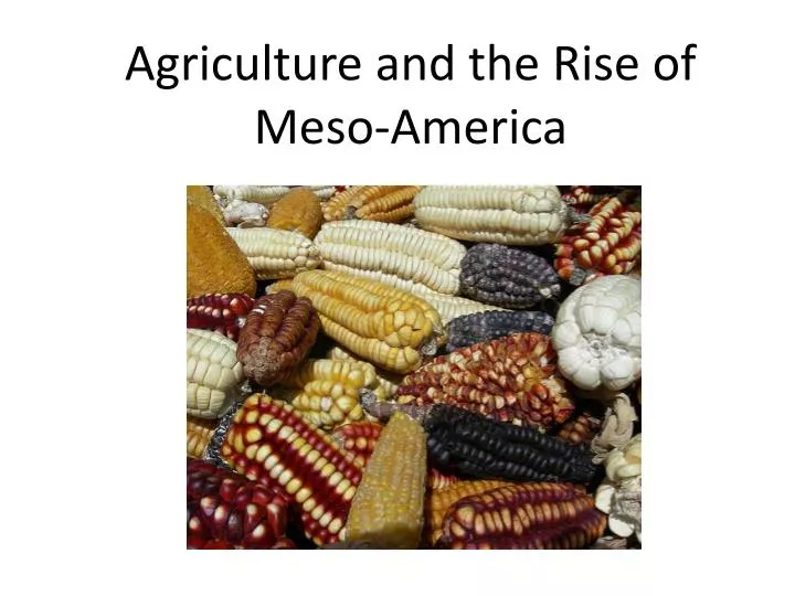 PPT - Agriculture and the Rise of Meso -America PowerPoint Presentation ...