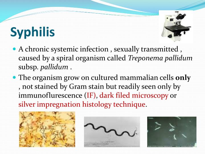 PPT - Chlamydia, Syphilis & Gonorrhea Reproductive Block PowerPoint ...