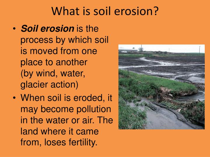 PPT - Soil Erosion Causes, Effects and Control PowerPoint Presentation ... PPT - Soil Erosion Causes, Effects and Control PowerPoint Presentation ...