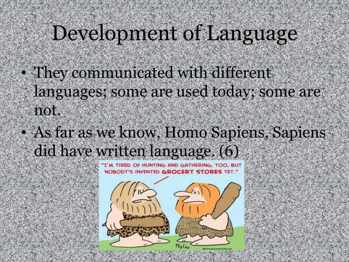 PPT - Homo Sapiens Sapiens PowerPoint Presentation - ID:3067462