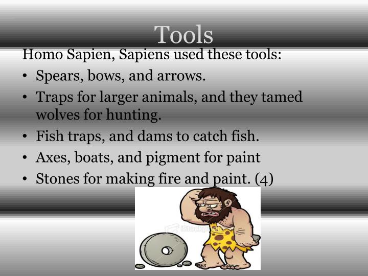 PPT - Homo Sapiens Sapiens PowerPoint Presentation - ID:3067462