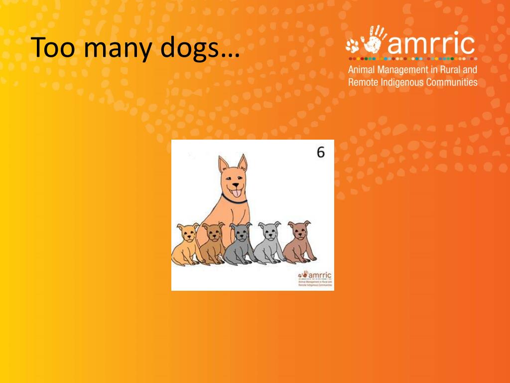 PPT - Dog health, human health and environmental health PowerPoint ...