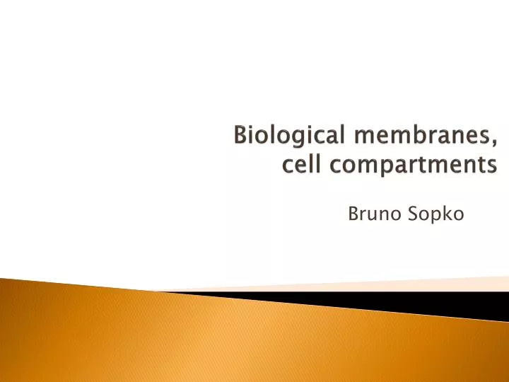 PPT - Biological membranes, cell compartments PowerPoint Presentation ...