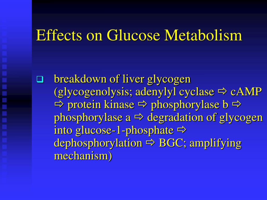 PPT - Insulin, Glucagon, and Diabetes Mellitus PowerPoint Presentation ...