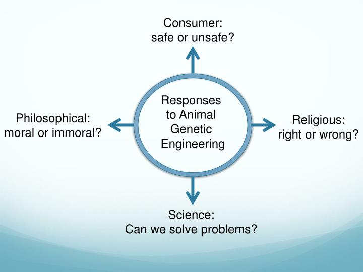 PPT - Animal Ethics PowerPoint Presentation - ID:3068462