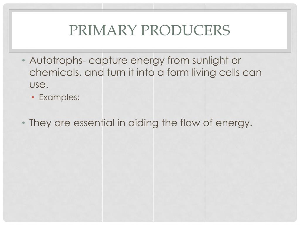 PPT - Energy, Producers, and Consumers PowerPoint Presentation, free ...
