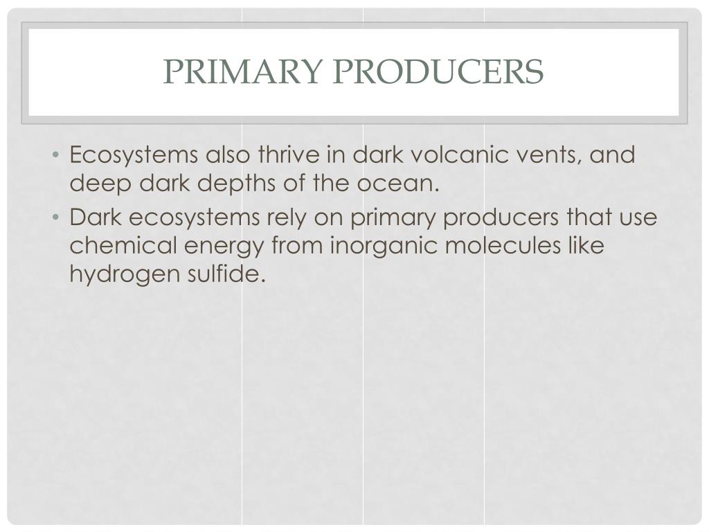 PPT - Energy, Producers, and Consumers PowerPoint Presentation, free ...