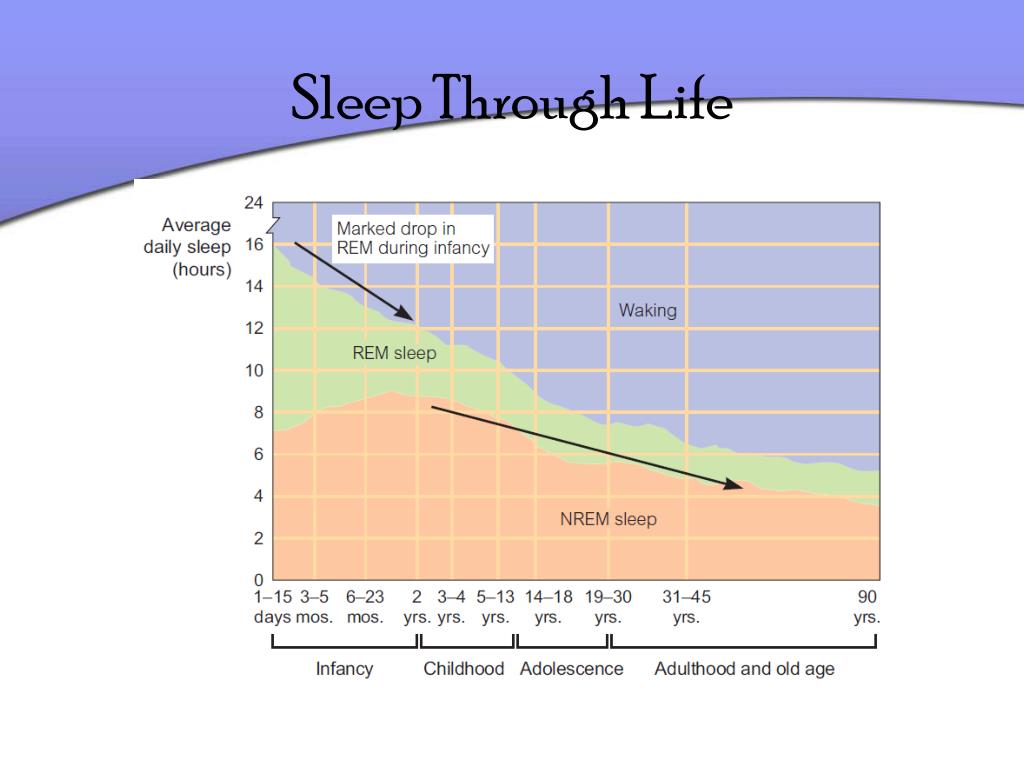 PPT - Sleep Stages, REM, and Dreaming PowerPoint Presentation, free ... PPT - Sleep Stages, REM, and Dreaming PowerPoint Presentation, free ...
