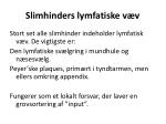 PPT - Blod og lymfesystem PowerPoint Presentation - ID:3069093