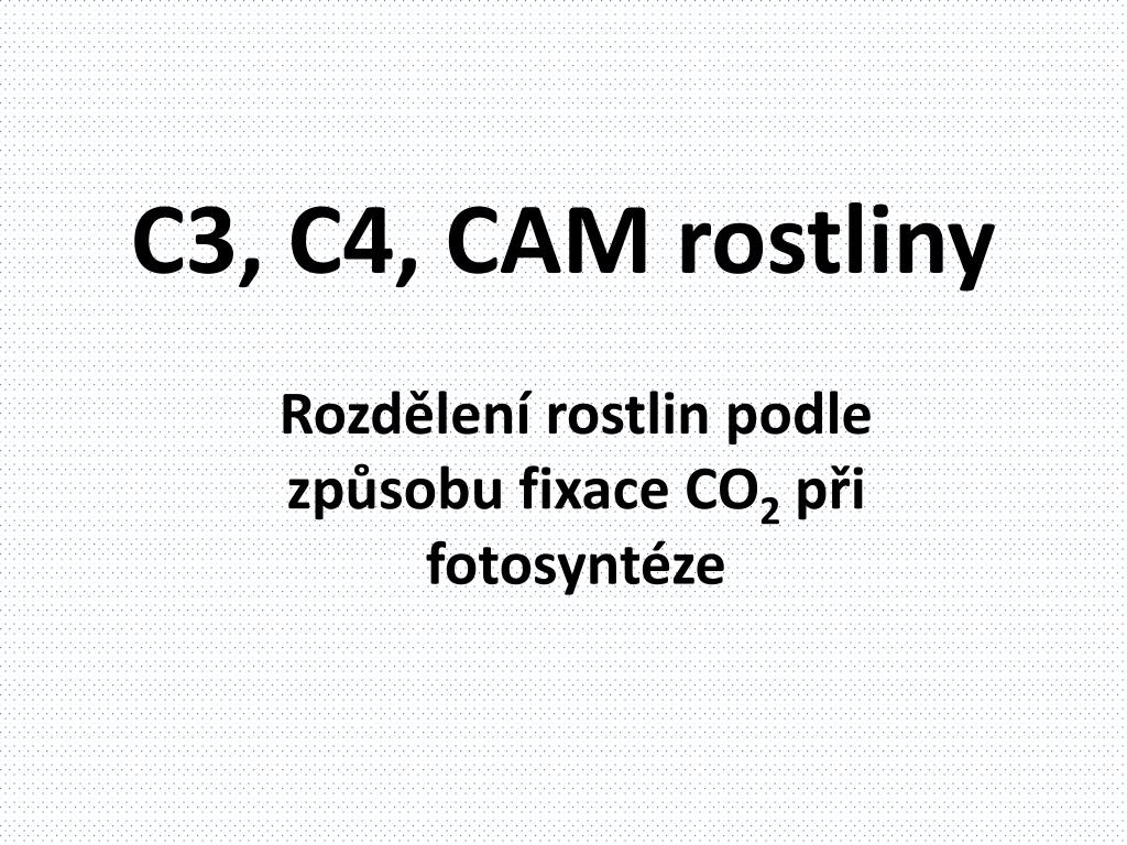 PPT - Gymnázium a obchodní akademie Chodov Smetanova 738, 357 35 Chodov ...
