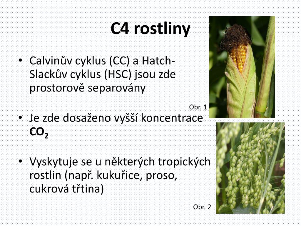 PPT - Gymnázium a obchodní akademie Chodov Smetanova 738, 357 35 Chodov ...