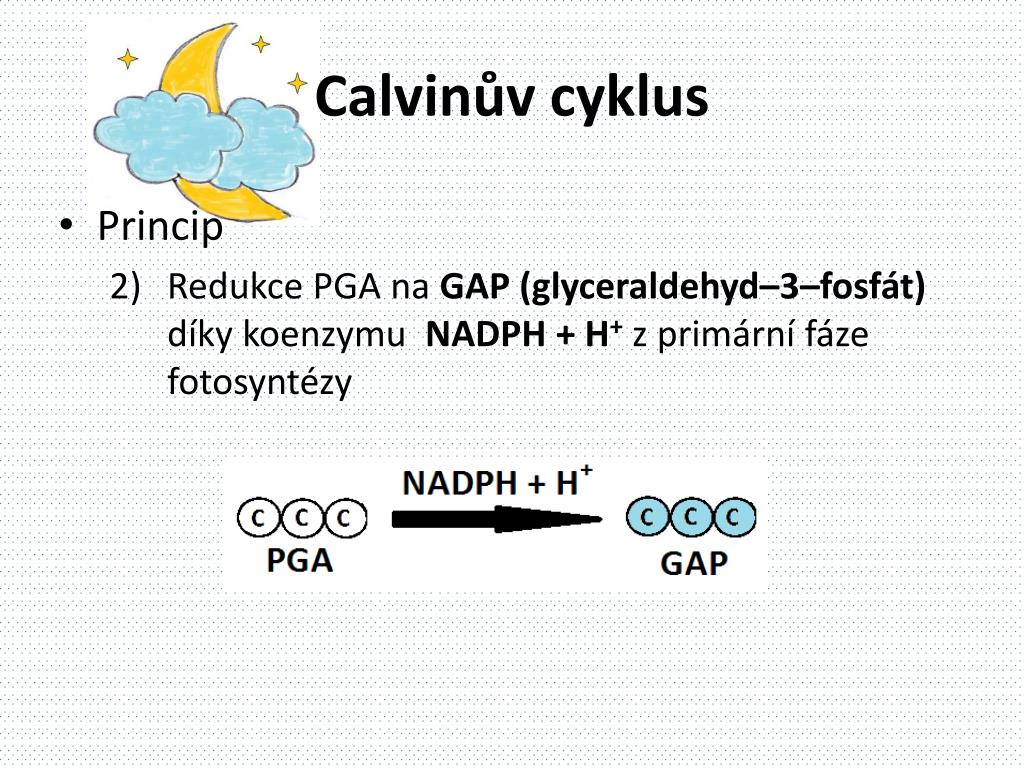 PPT - Gymnázium a obchodní akademie Chodov Smetanova 738, 357 35 Chodov ...