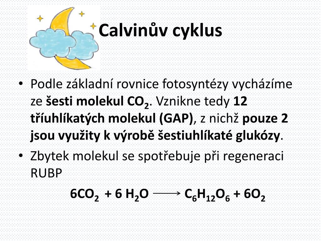 PPT - Gymnázium a obchodní akademie Chodov Smetanova 738, 357 35 Chodov ...
