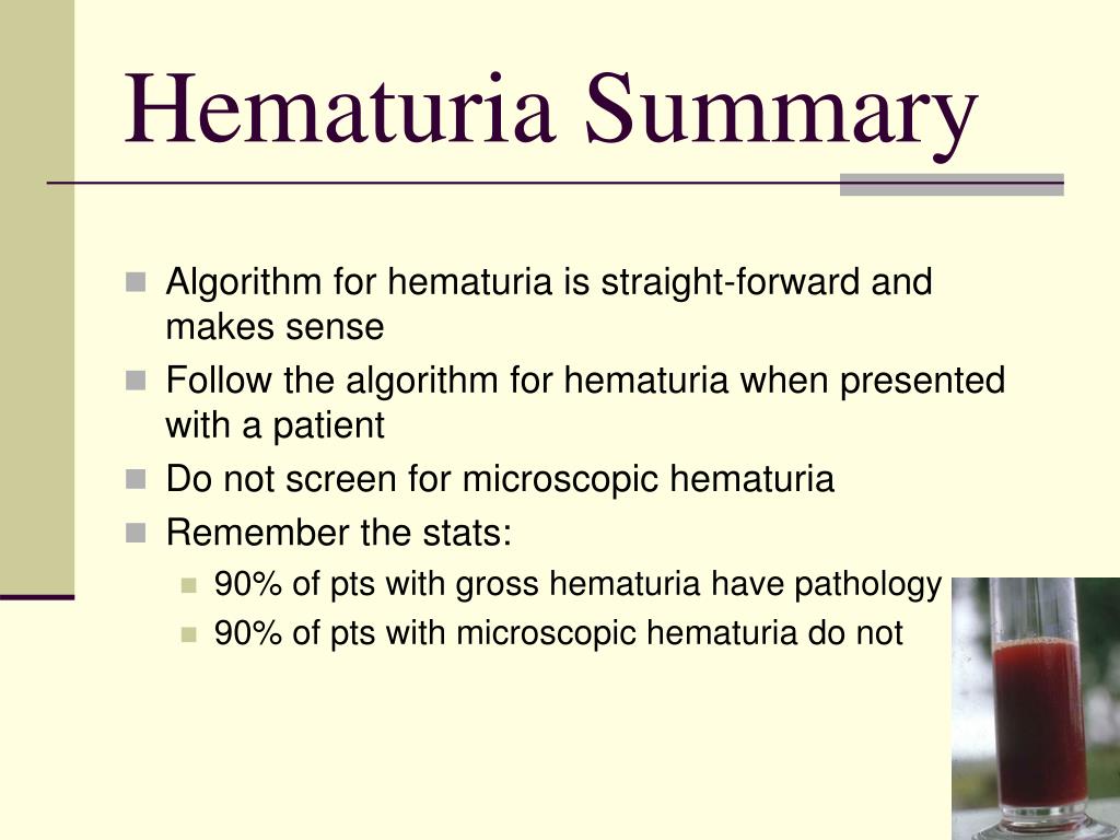 PPT - Hematuria, Kidney & Bladder Cancer for the Primary Care Physician ...