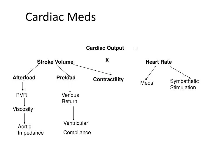 PPT - Cardiac Meds PowerPoint Presentation, free download - ID:3069233