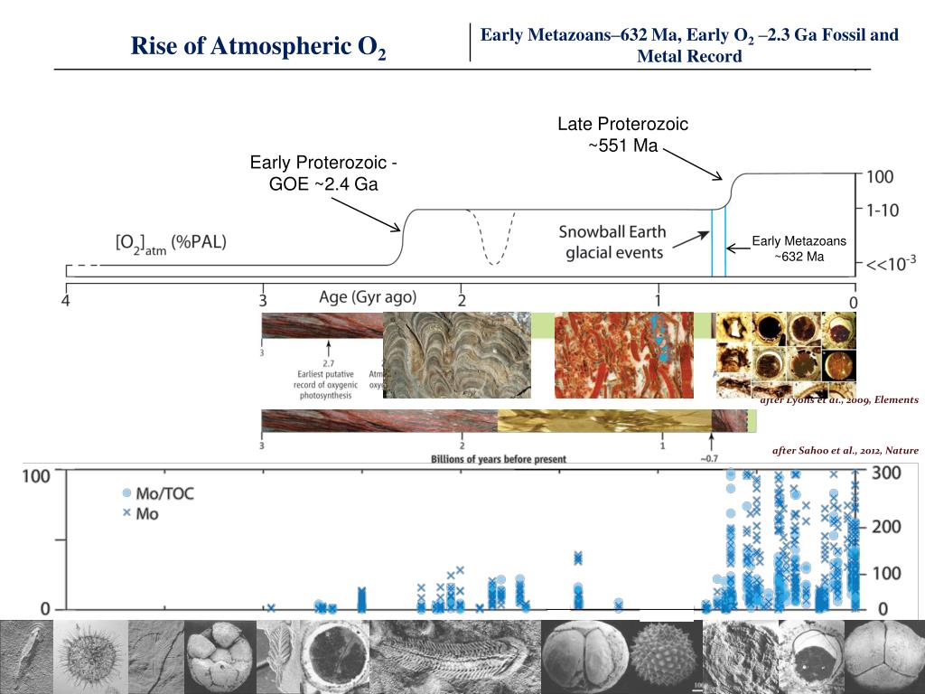 PPT - By Swapan Kr Sahoo Ganqing Jiang, Noah Planavsky, Brian Kendall ...