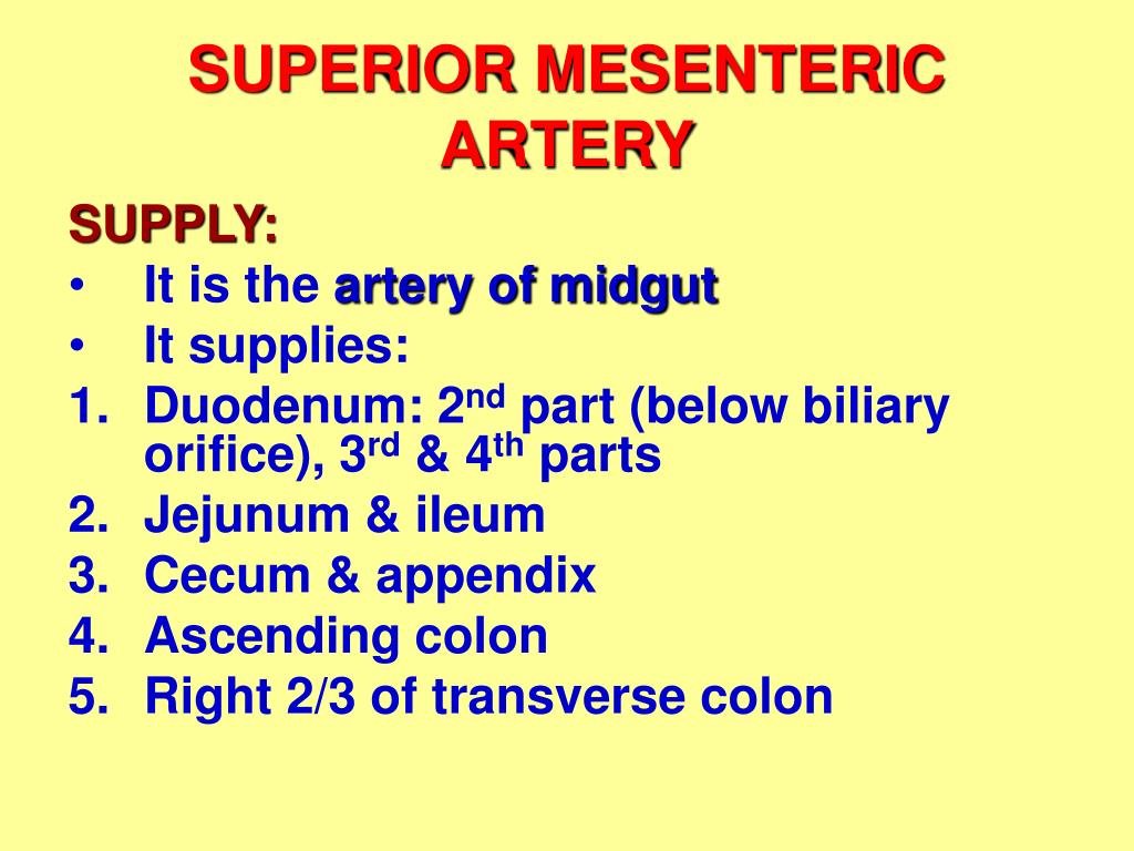 PPT - ARTERIAL SUPPLY OF MIDGUT & HINDGUT PowerPoint Presentation - ID ...
