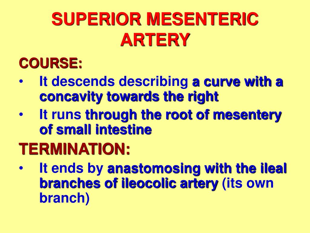 PPT - ARTERIAL SUPPLY OF MIDGUT & HINDGUT PowerPoint Presentation, free ...