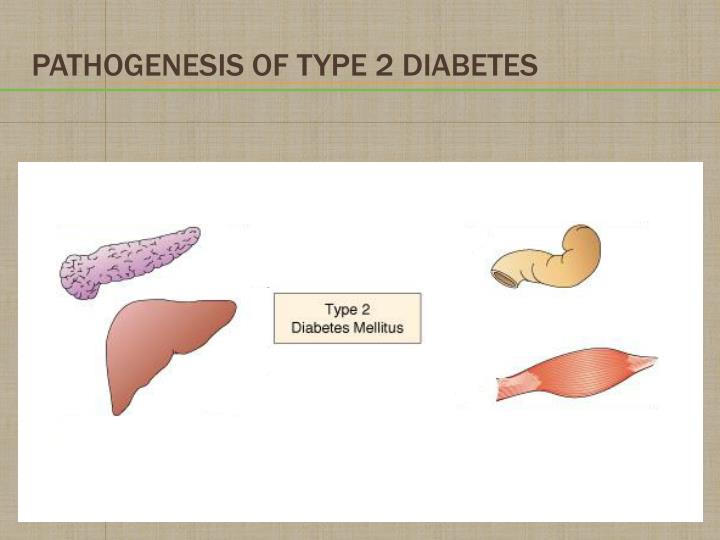 PPT - Chapter 33 Diabetes Mellitus and the Metabolic Syndrome ...