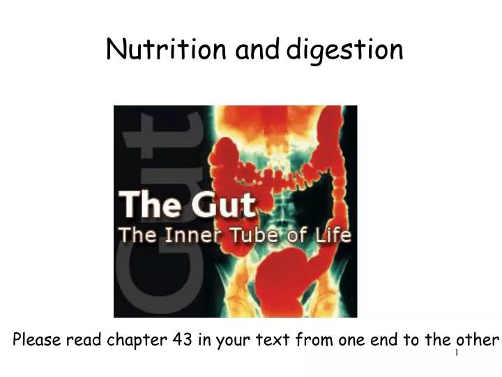 PPT - Nutrition and digestion PowerPoint Presentation, free download ...