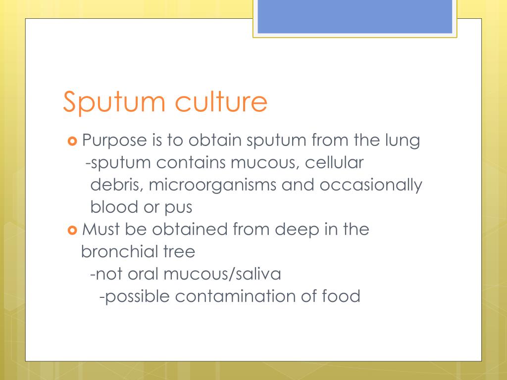 PPT - Stool, Gastric, Sputum and Throat Cultures PowerPoint ...
