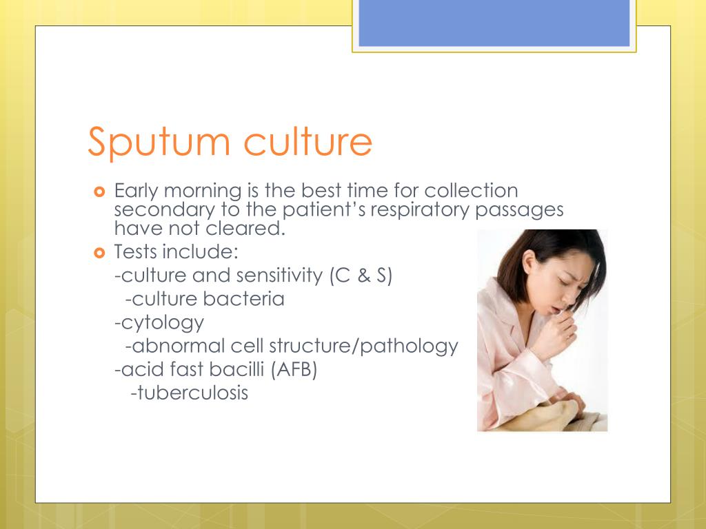 PPT - Stool, Gastric, Sputum and Throat Cultures PowerPoint ...