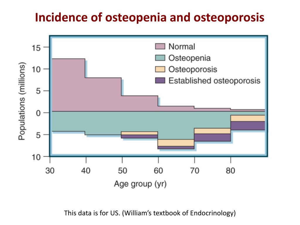 PPT - Drugs Used for Treatment of Osteoporosis and Rickets ...