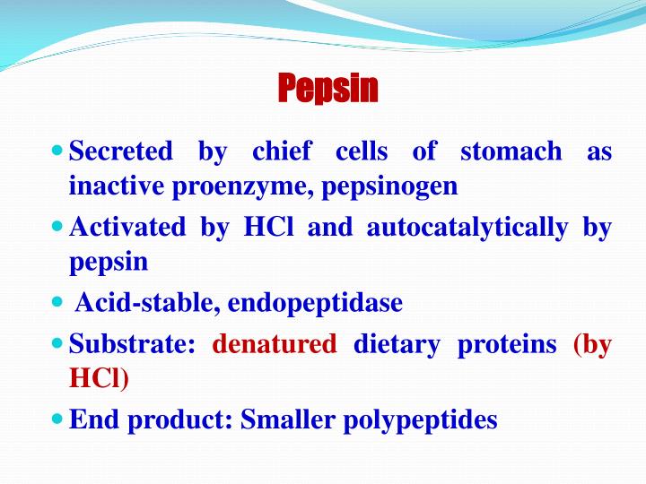 PPT - ??? ???? ?????? ?????? PowerPoint Presentation - ID:3070158