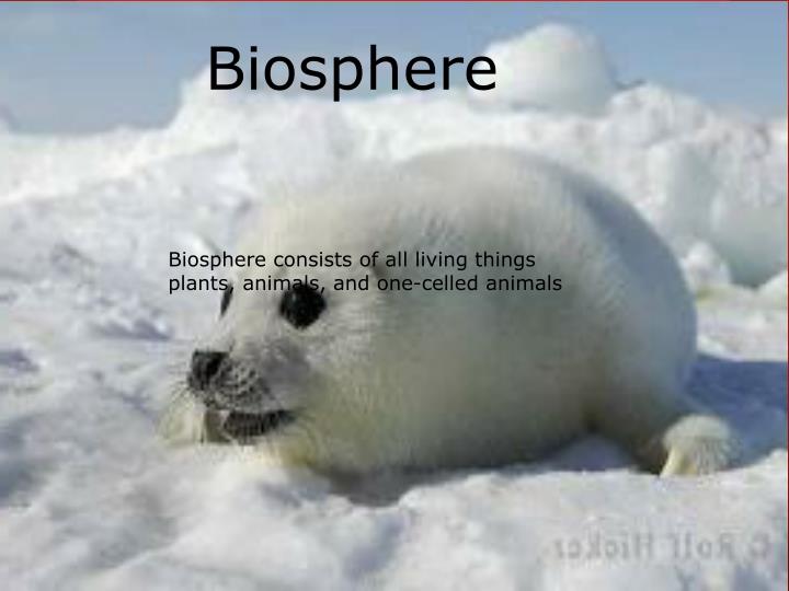 PPT - Atmosphere, Geosphere, Hydrosphere , and Biosphere PowerPoint ...