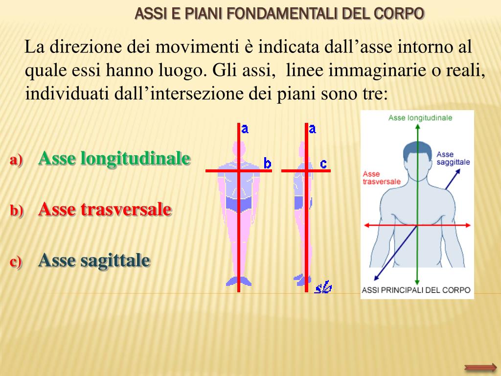 PPT - Corpo, spazio, movimento PowerPoint Presentation, free download ...