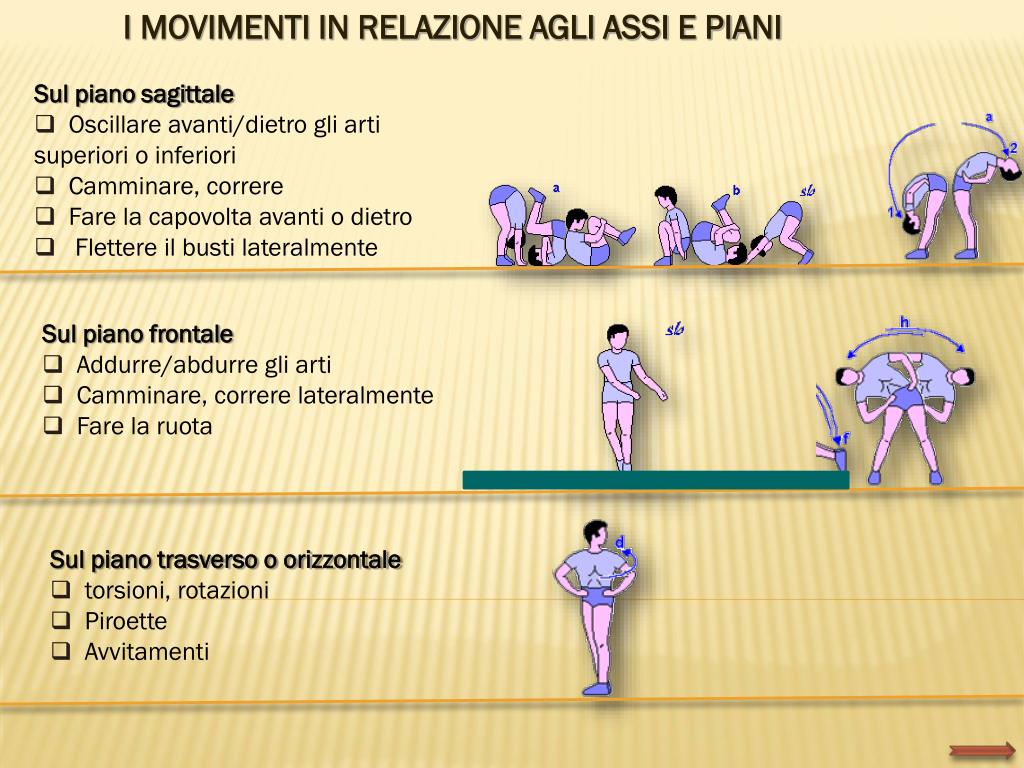 PPT - Corpo, spazio, movimento PowerPoint Presentation, free download ...